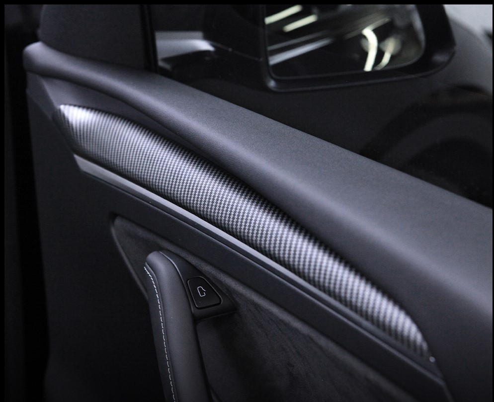 Tesla Model 3 Interior Door Trim cover - Tesla Market